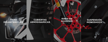 FALKON 220 – Vento León