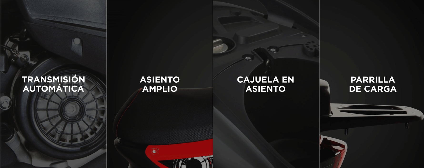 AXUS 170 – Vento León