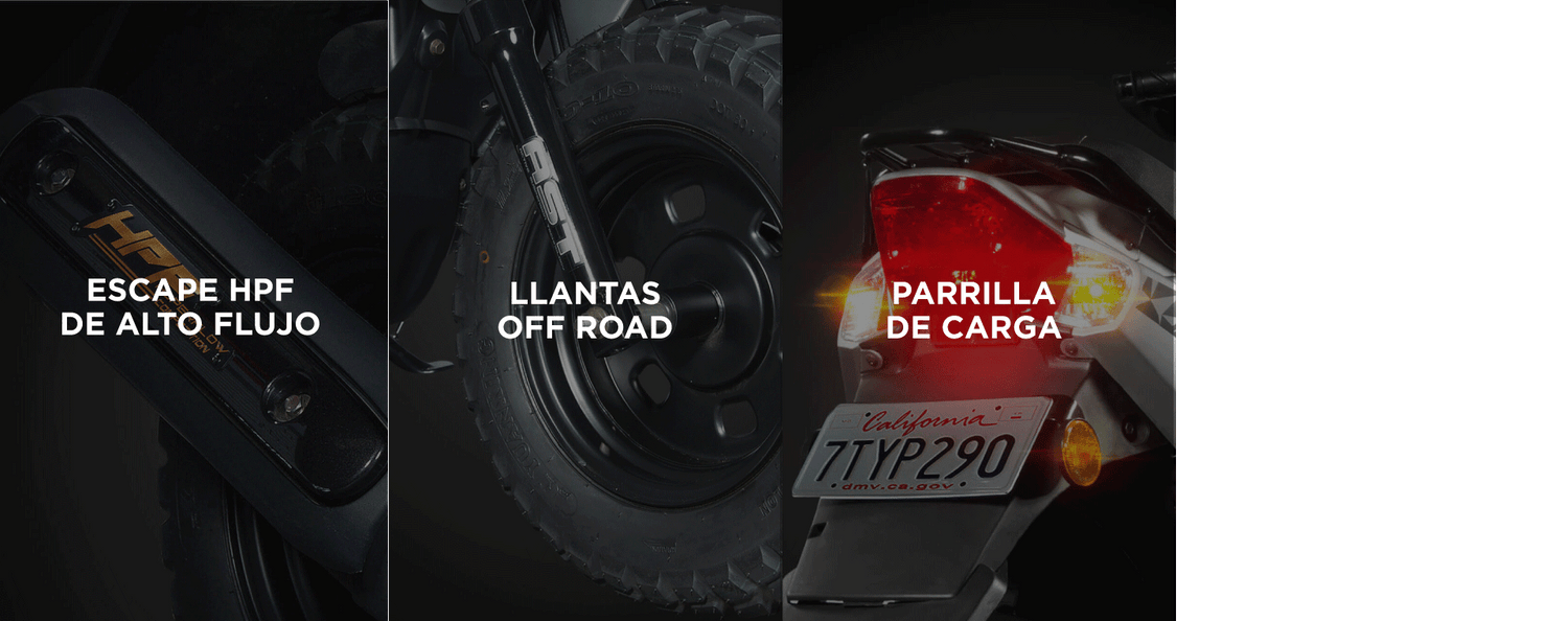 RUDA 170 F3 – Vento León