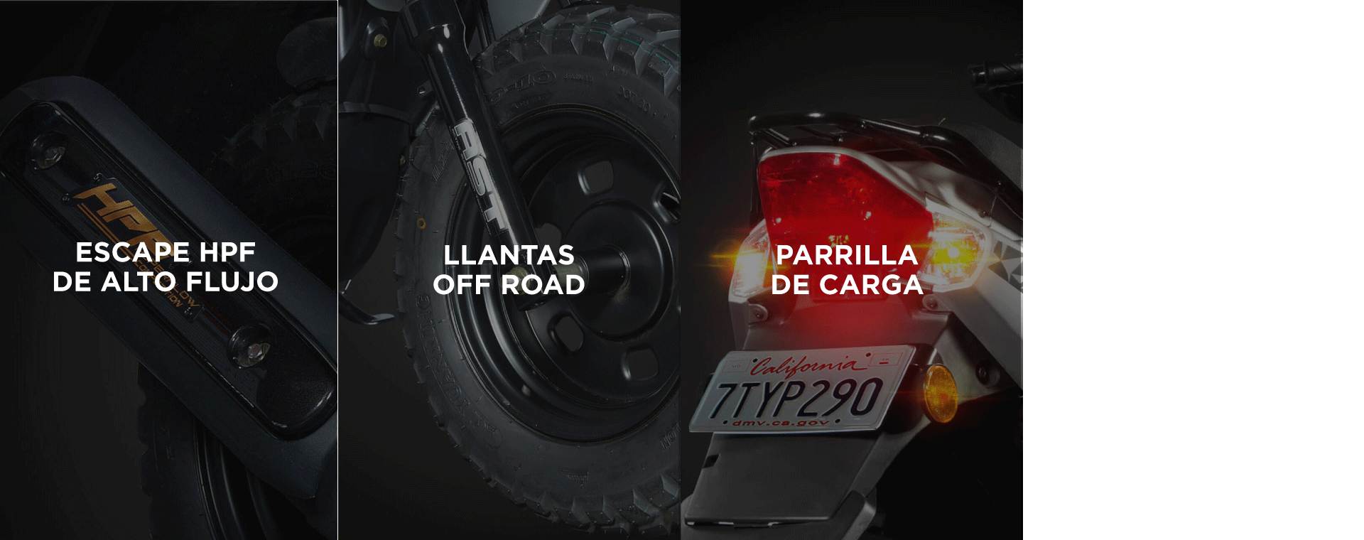 RUDA 170 F3 – Vento León